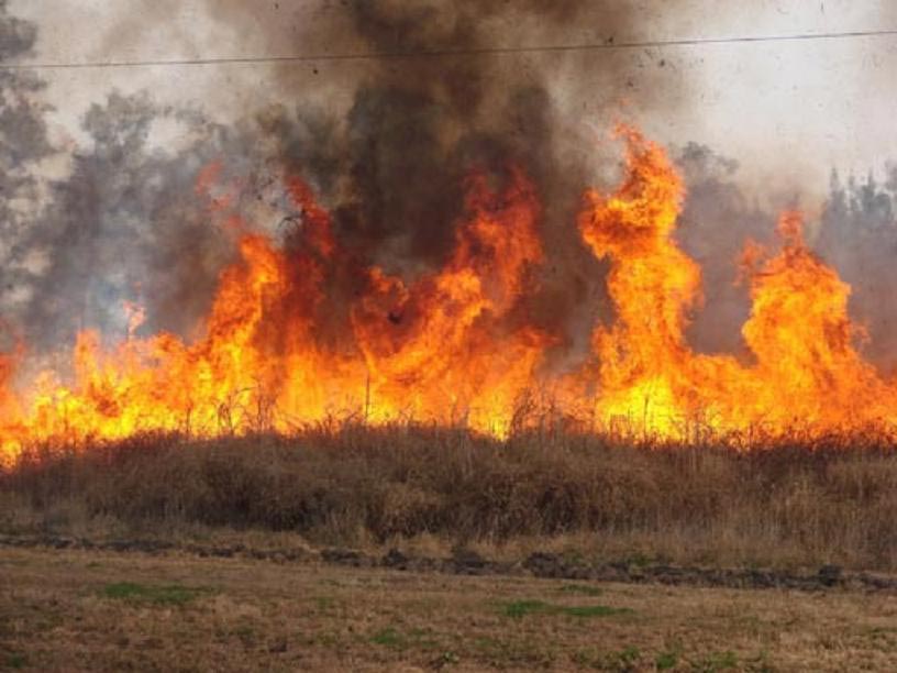 Quema de rastrojos afecta a estudiantes de la Institución Educativa ...
