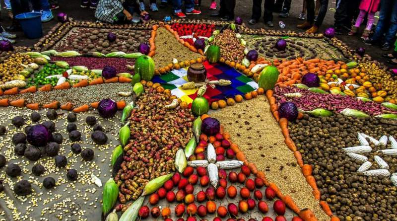 Medicina y cultura en la celebración del Kolla Raymi – Radio Ipiales Caracol